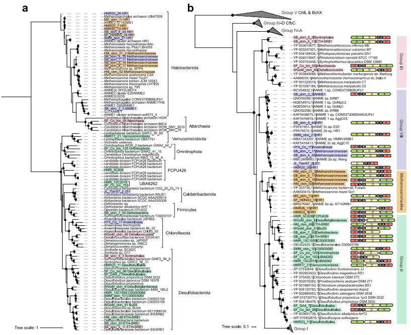 凌恩生物美文分享|基于宏基因组的氮循环分析内容重磅升级！ - 知乎