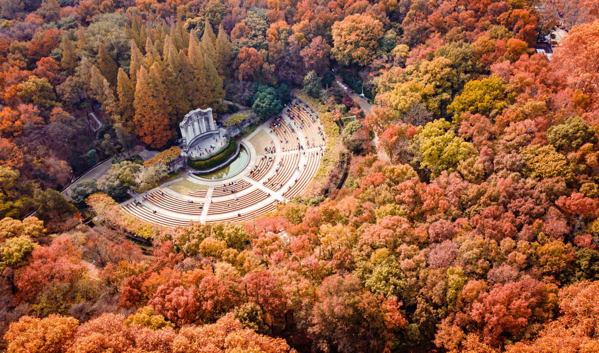南京旅游：一入秋南京就美成了金陵！超详细的南京三日游！！ - 知乎