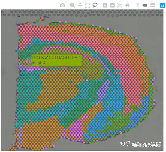 Seurat包学习笔记（三）：Analysis of spatial datasets - 知乎