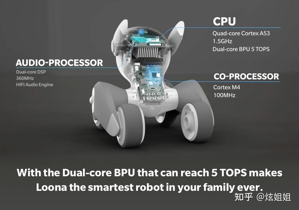 认识 Loona：宠物、玩具、陪伴机器人，aibo 都不如她好玩！ - 知乎