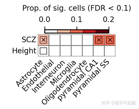 Post-GWAS： single-cell disease relevance score (scDRS) 分析 - 知乎