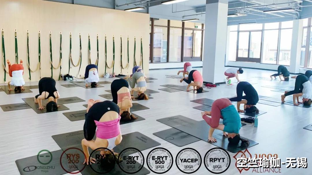 浅谈全美瑜伽联盟RYT,RYS,TTC - 知乎