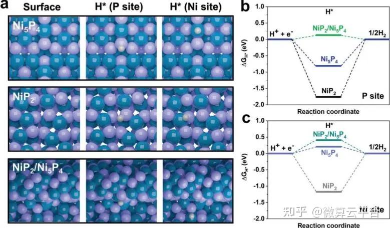 任志锋/周海青/张龙Small: 2 A cm-2下亦稳定！具有界面sp H-P杂化的NiP2/Ni5P4实现高效持久HER - 知乎
