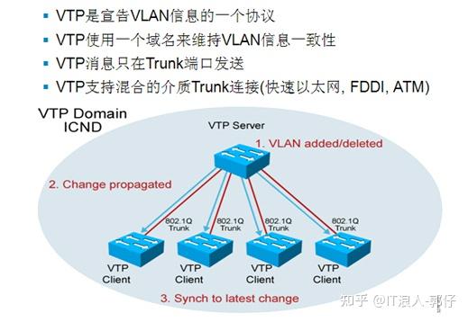 VTP的详解 - 知乎