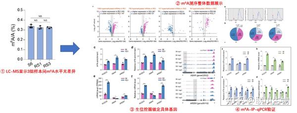 近年的m6A基金有哪些？如何写m6A基金标书？ - 知乎