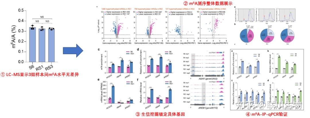 近年的m6A基金有哪些？如何写m6A基金标书？ - 知乎