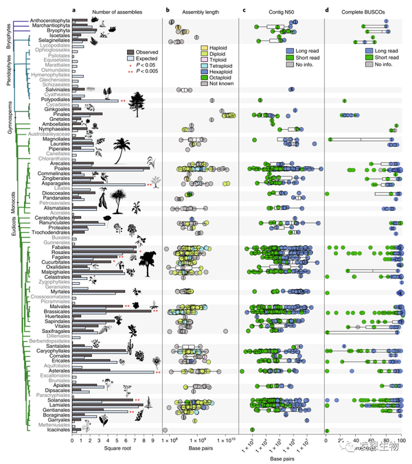 Nature Plants|植物基因组测序20年回顾与展望：三代HiFi基因组时代 - 知乎