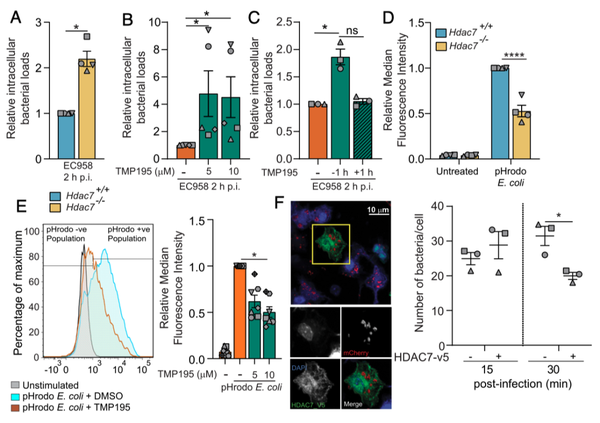PNAS丨HDAC7 是一种免疫代谢开关，可对巨噬细胞中抗菌反应与炎症反应的危险信号进行分类 - 知乎