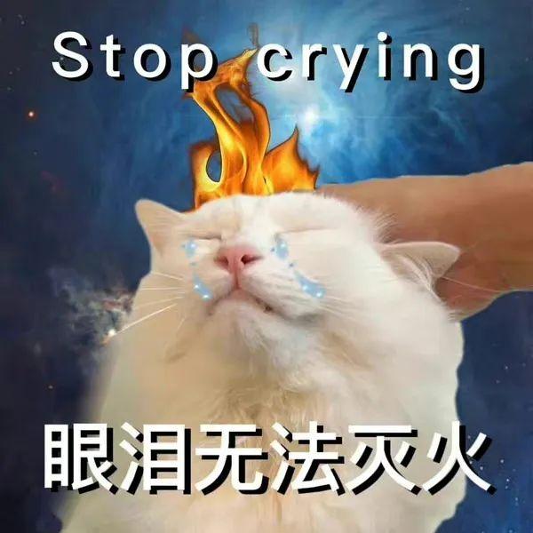 发疯发癫的表情包 - 知乎