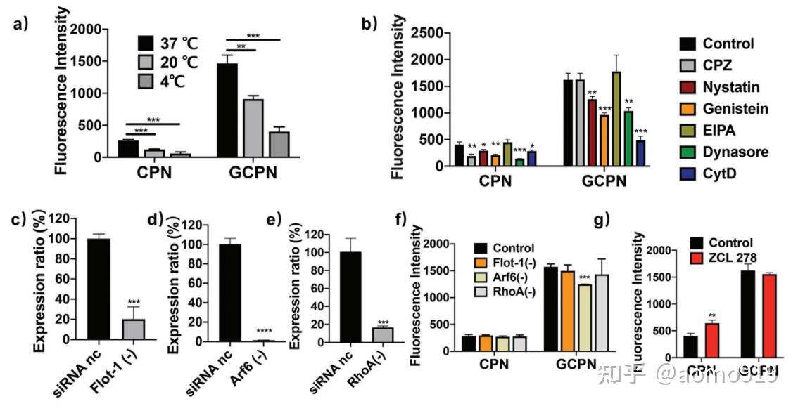 AbMole科研-固体纳米颗粒上胆汁酸偶联增强了ASBT介导的内吞作用和乳糜微粒途径 - 知乎