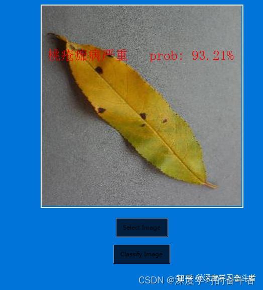 桃子叶片病害识别（python代码，pytorch框架，深度卷积网络模型，很容易替换为其它模型，带有gui识别界面） 知乎