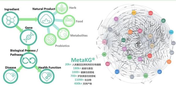 MetaNovas|AAES2023: AI+生物知识图谱驱动健康食品开发 - 知乎