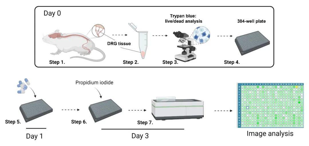 Bio-protocol | 2023年5月5日最新上线实验方案目录 - 知乎