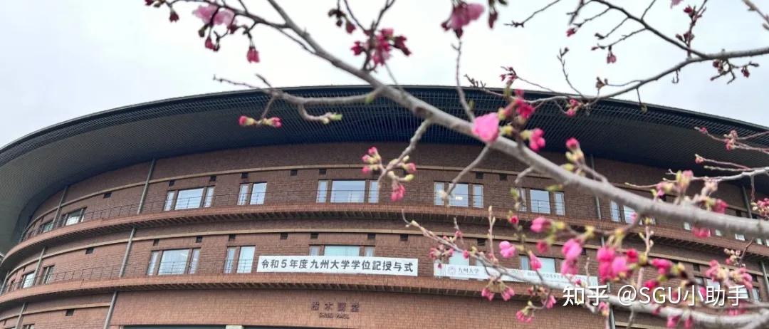 SGU大学院全攻略：九州大学 法学（一年制）LL.M项目 2024年10月入学 - 知乎