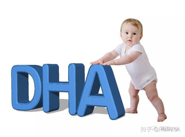 为什么我们都需要DHA？ - 知乎