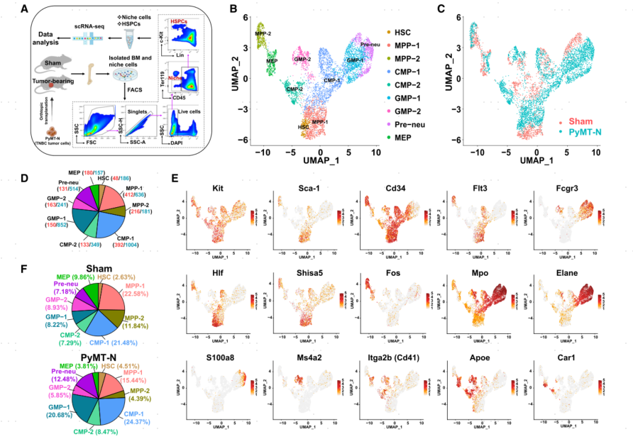 单细胞技术揭示肿瘤诱导骨髓造成的全身免疫抑制机理 - 知乎