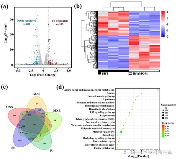 两个组别也能发高分文章？常规转录组测序小样本量研究思路 - 知乎
