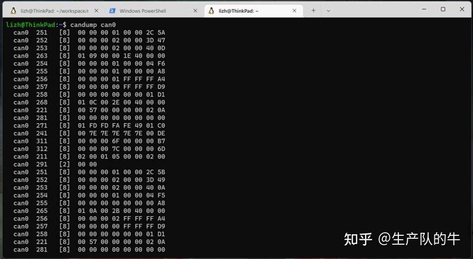 2022-09-WSL2添加CAN模块 - 知乎
