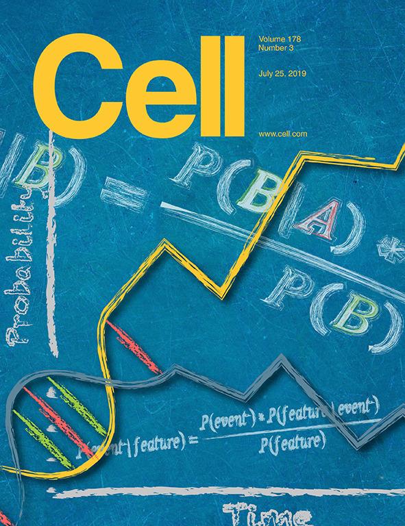 科学与艺术的结合！《CELL》100+张期刊封面鉴赏｜2019年篇 - 知乎