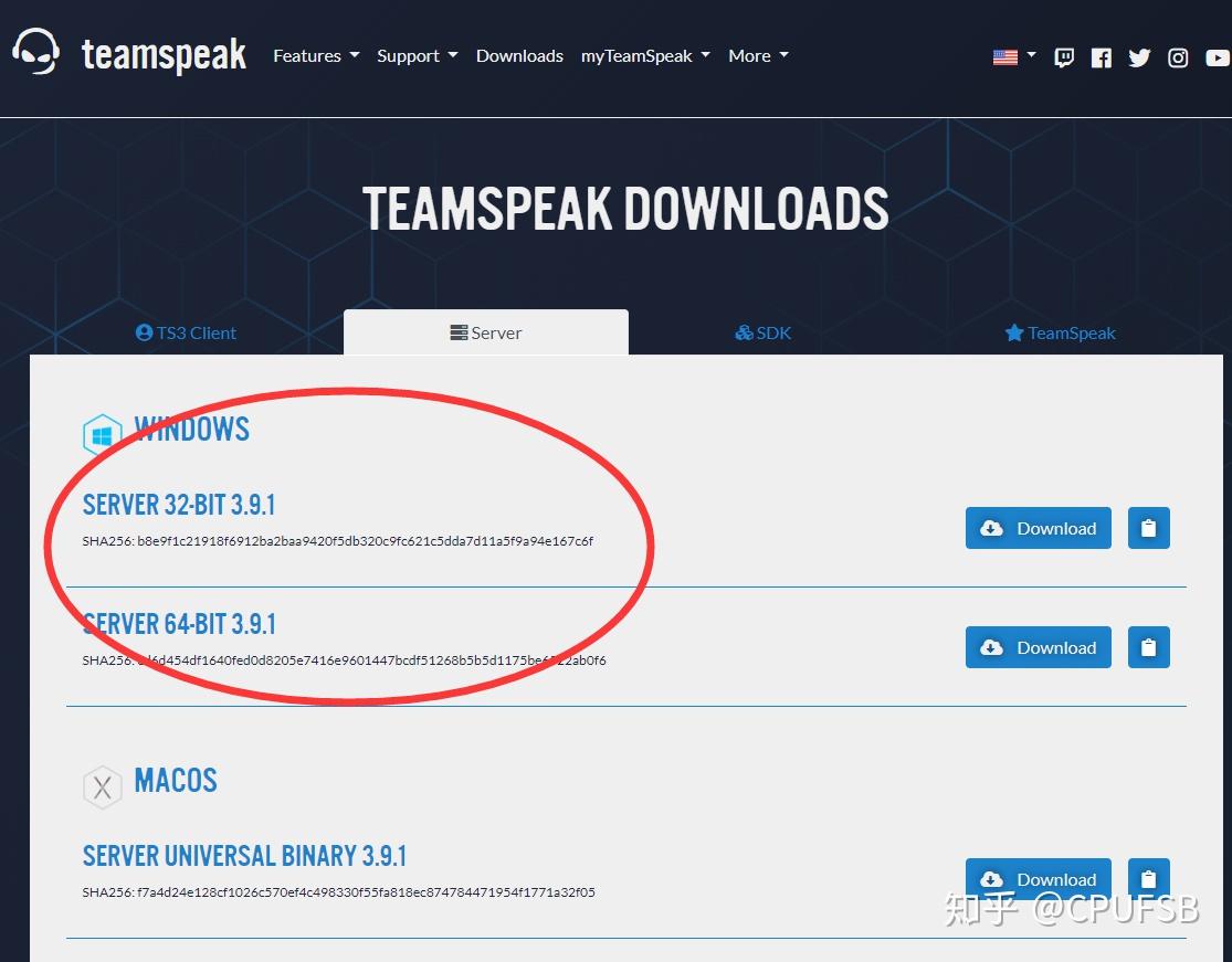 Teamspeak Server（TS语音服务器） 搭建实例 私人语音联机服务器解决方案 - 知乎