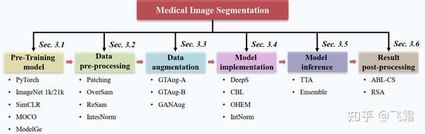 医学影像分割tricks合集：Deep Learning for Medical Image Segmentation:Tricks,Challenges and Future ...