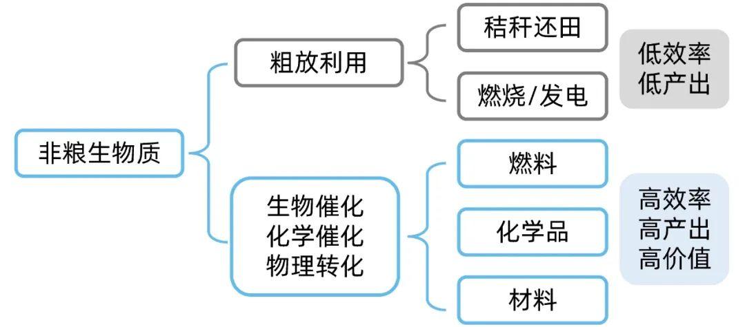 DeepTech联合红杉中国、水木络绎正式发布《2023非粮生物质开发关键技术与产业结构解读》报告——立足多维碳源，擘画非粮蓝图 - 知乎