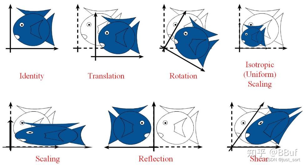 《YOLOv5全面解析教程》十一，YOLOv5 数据增强模块 utils/augmentations.py 逐行解析 - 知乎