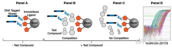 药物开发——KINOMEscan® 药物—激酶结合筛选系统 - 知乎