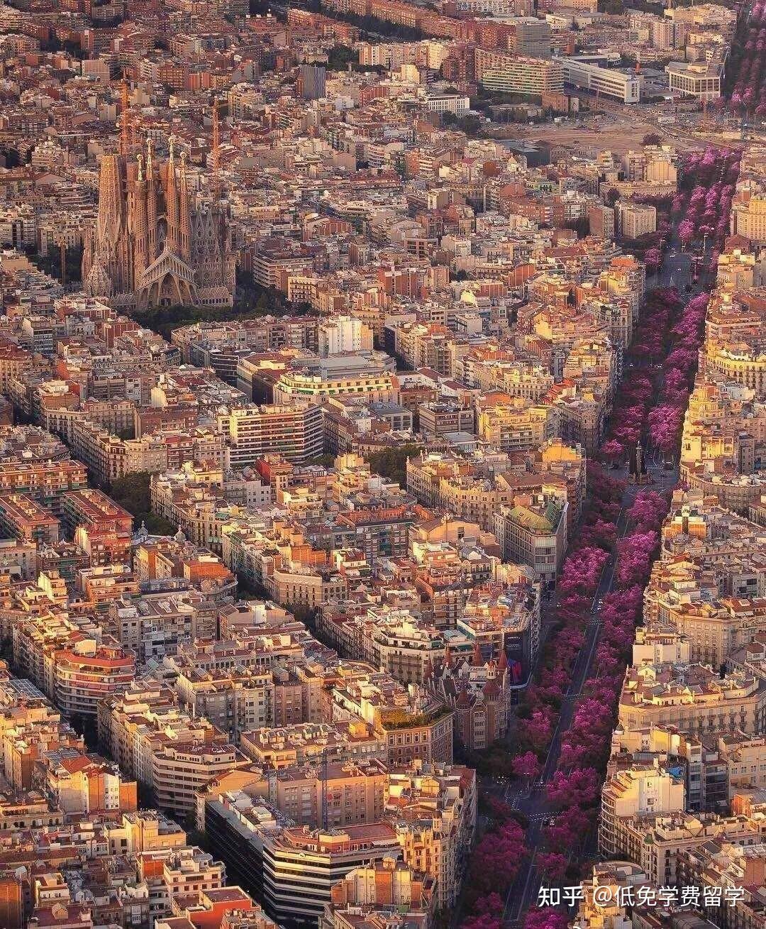 巴塞罗那留学指南——巴自治篇 - 知乎