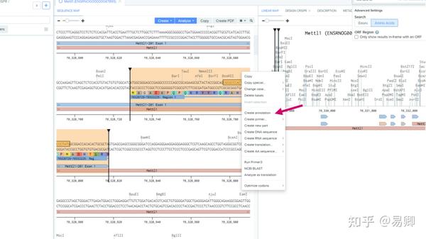 小白快速上手！CRISPR-KO系统的构建 - 知乎