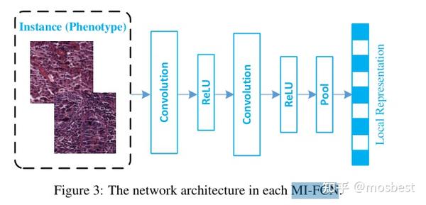 医学图多实例分割 论文集 - 知乎
