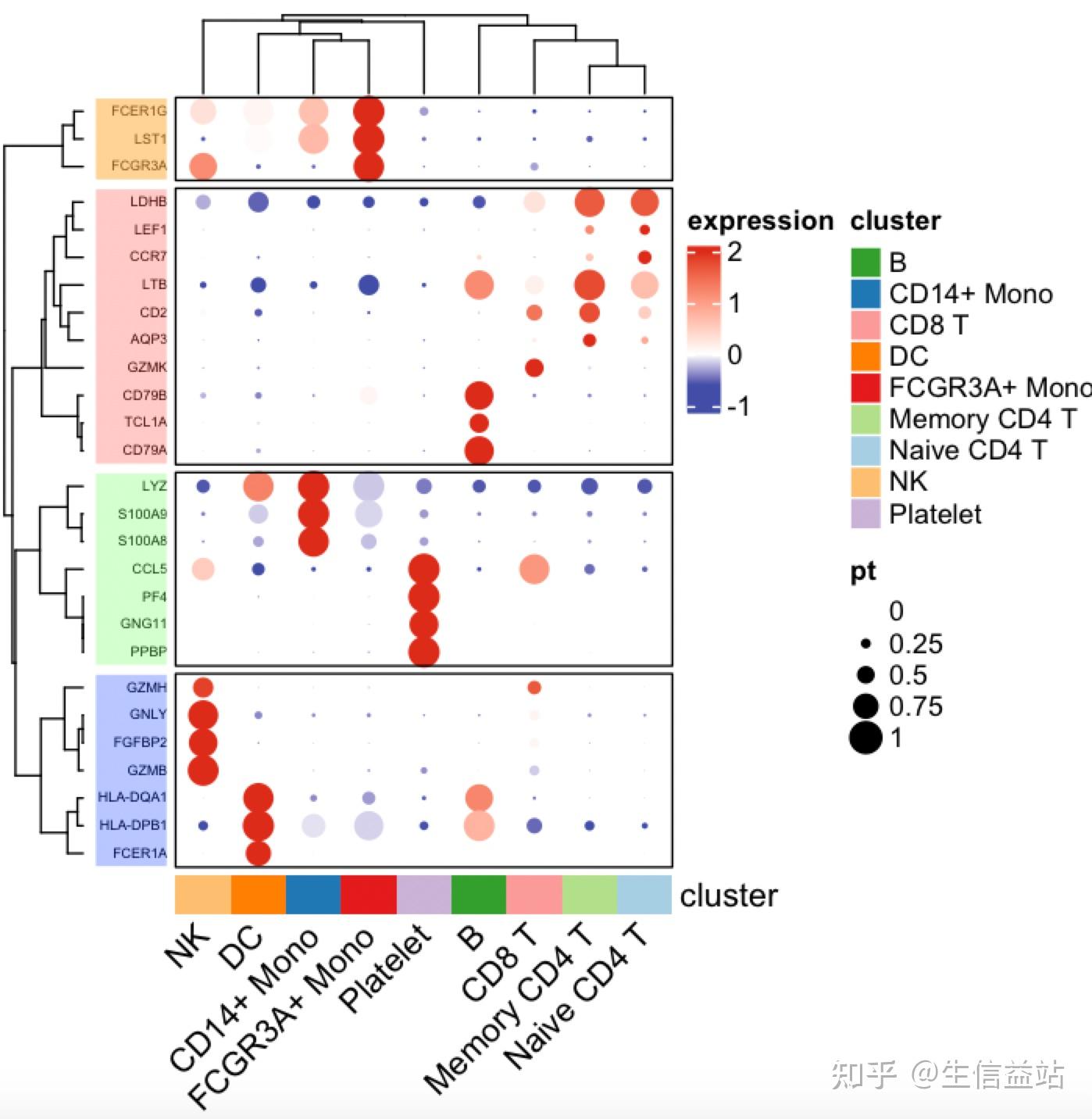 R绘图技巧31| ComplexHeatmap版本的复杂DotPlot(二)——配色、网格与行装饰 - 知乎