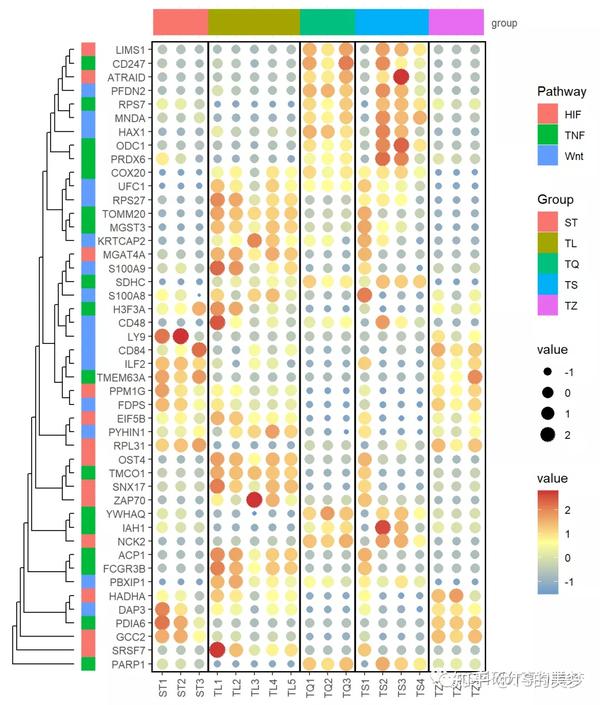 热图5：ggplot2画热图及个性化修饰 - 知乎