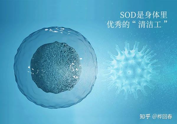 SOD小讲堂（一）：SOD的认识和应用史 - 知乎