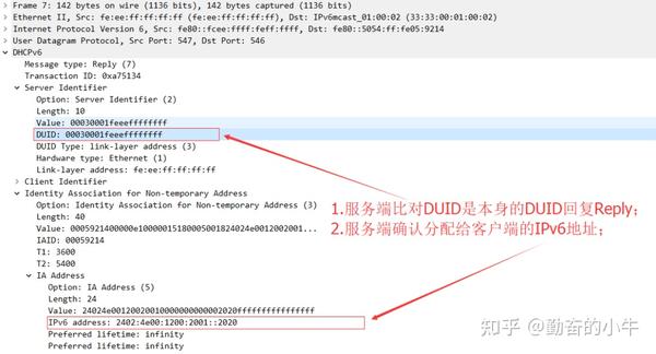 一文读懂DHCP协议 && DHCPv6协议 - 知乎