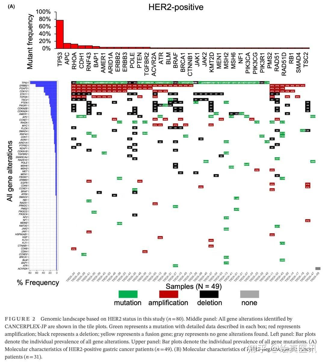 胃癌也分“冷热”？ARID1A突变的HER2阴性胃癌免疫治疗或更有效！ - 知乎