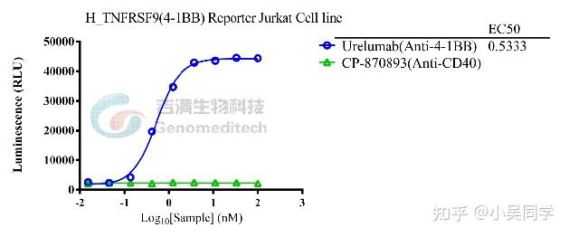 T细胞共刺激靶标：4-1BB - 知乎