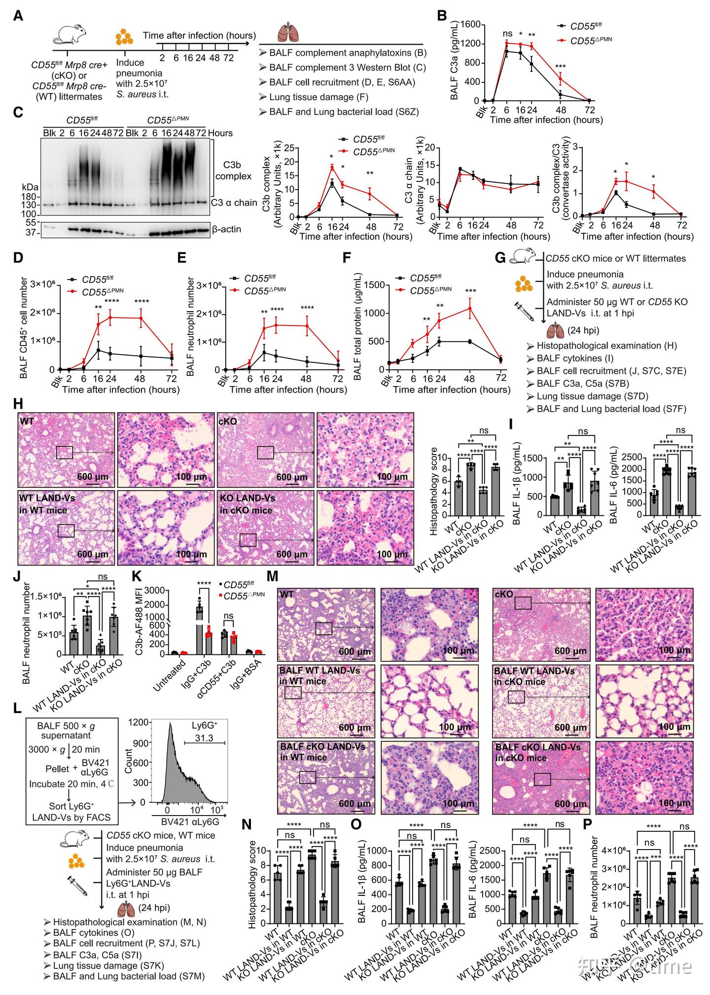 文献分享 | Cell：中性粒细胞衍生的囊泡控制补体激活，促进炎症消退 - 知乎