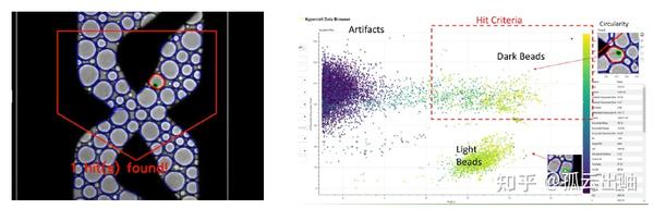 初创企业丨Bioelectronica——计算机视觉应用于单细胞分选 - 知乎