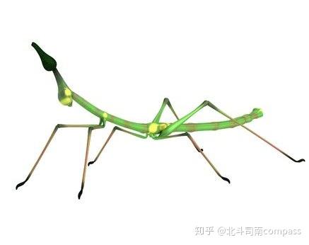 六足机器人：不能仅下地，还能上天 - 知乎