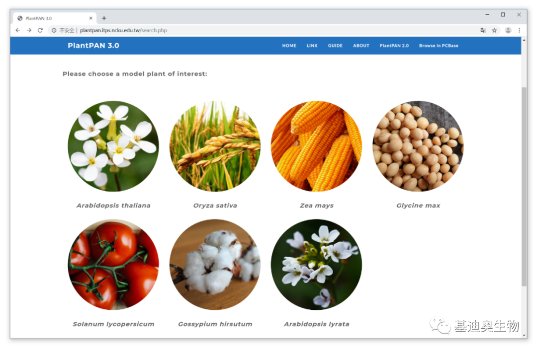 使用PlantPAN 3.0进行启动子和转录因子分析 - 知乎