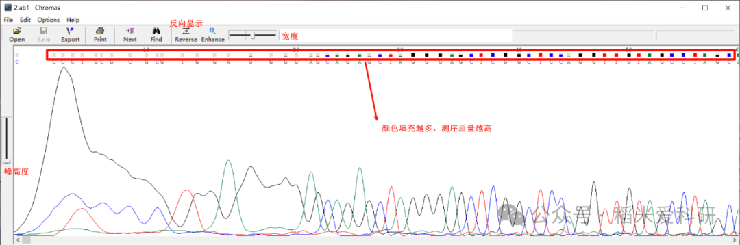 测序返回结果中的ab1文件怎么看？ - 知乎