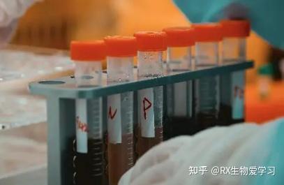 ATTO 665标记链霉亲和素，Streptavidin,ATTO 655 conjugated - 知乎