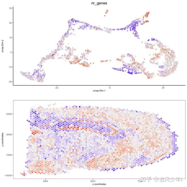 10X空间转录组分析回顾之Giotto - 知乎