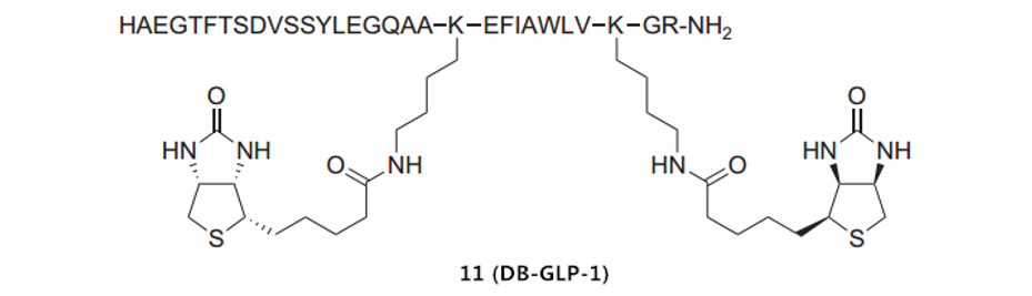 浅谈口服GLP-1受体激动剂 - 知乎