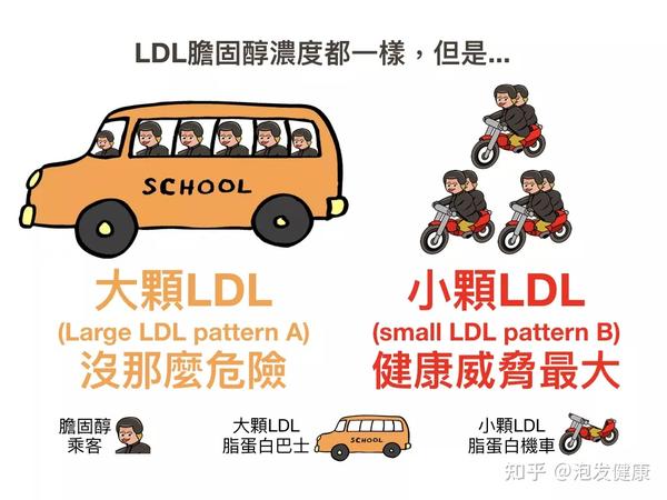 你不知道的“sd-LDL-C”和"LPO"——更明确地预测严重心血管疾病、甚至死亡！ - 知乎