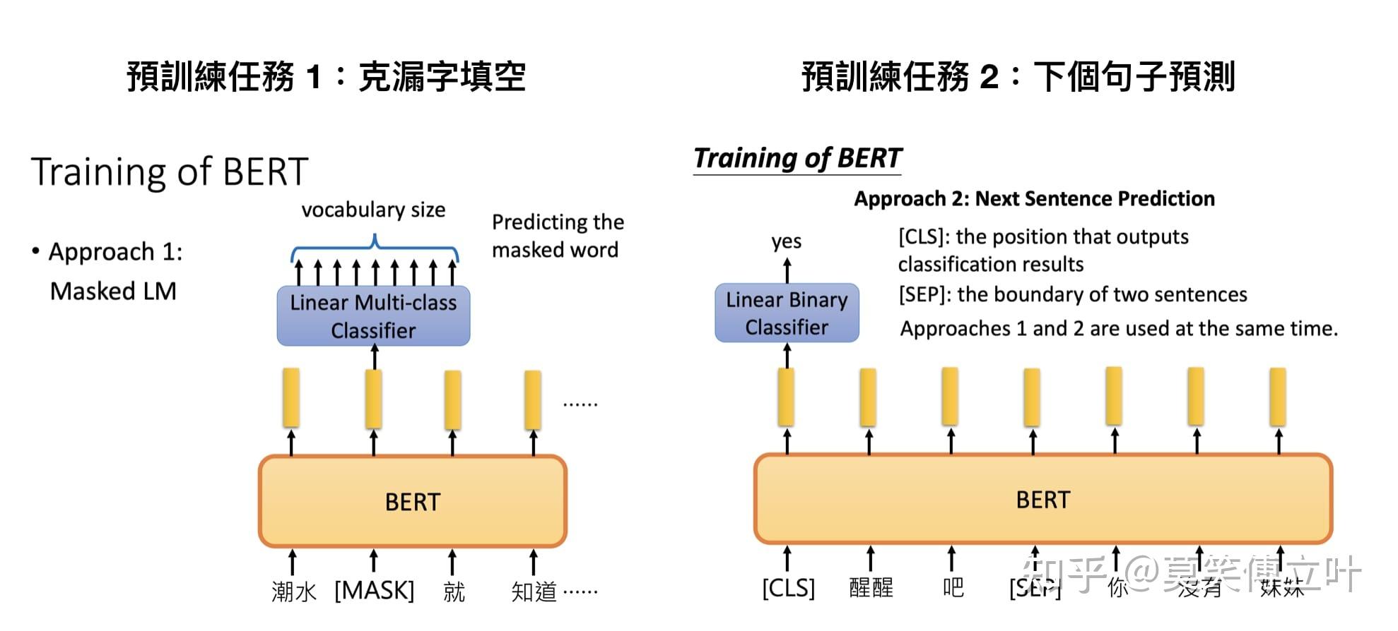 BERT模型解读（附pytorch代码） - 知乎