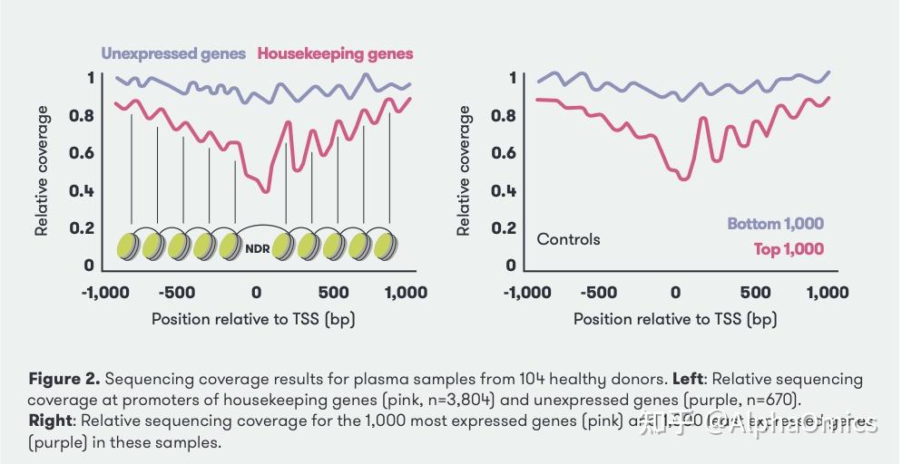 细胞游离DNA(cfDNA)的临床应用潜力 - 知乎