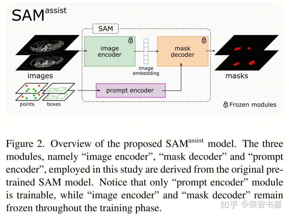 SAM-Med | 英伟达基于SAM提出医学图像标注效率神器 - 知乎