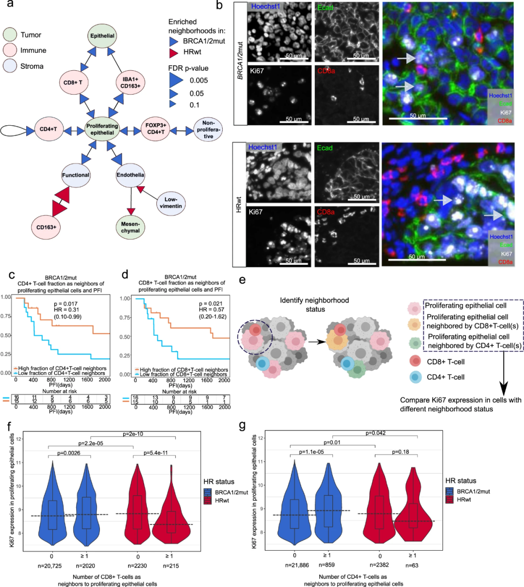 Nat Comm | 高级别卵巢癌单细胞肿瘤免疫微环境 - 知乎
